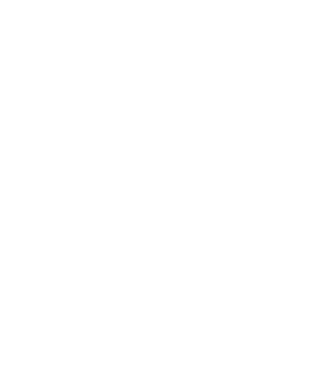 5 ORGANISING class 12